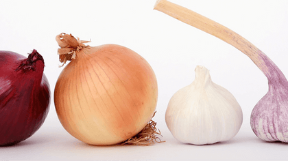 Intolérance et symptômes d'allergie à l'ail | Oignon et ail – Check My ...