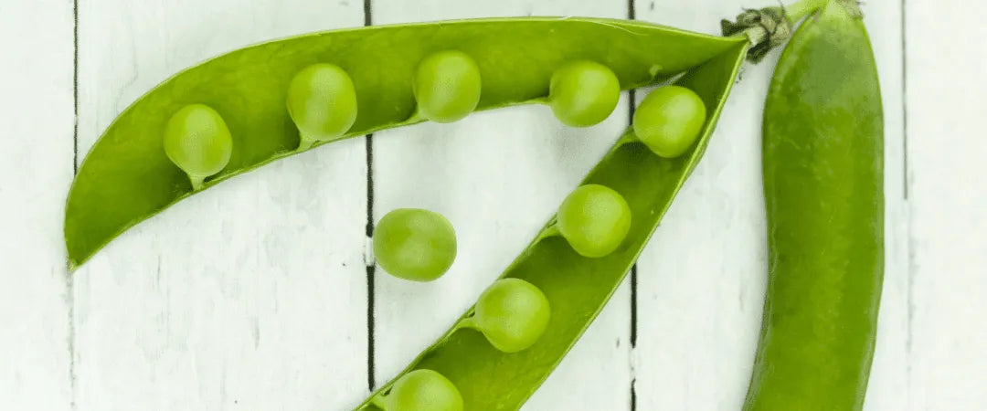 Green Bean Allergy: Symptoms, Signs & Tests – Check My Body Health France